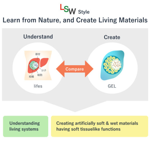 About LSW – Laboratory Soft & Wet Matter at Hokkaido University