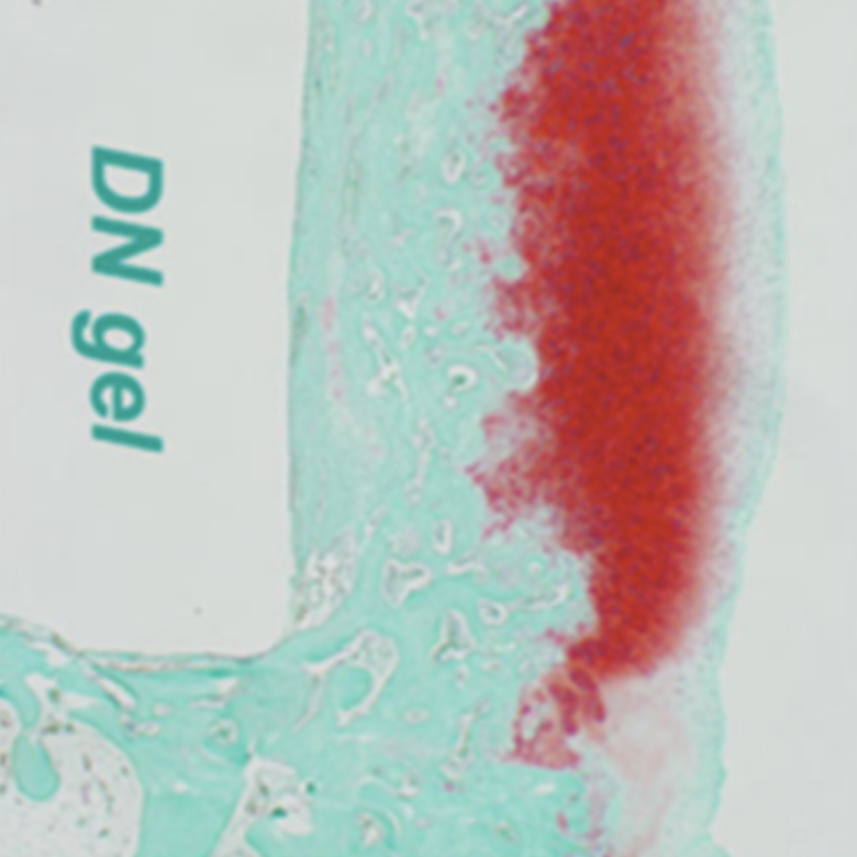 Reserch-Topics – Laboratory Soft & Wet Matter at Hokkaido University