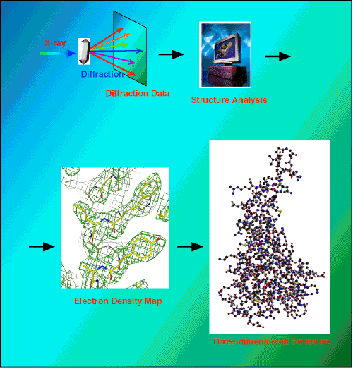 X-ray protein crystallography
