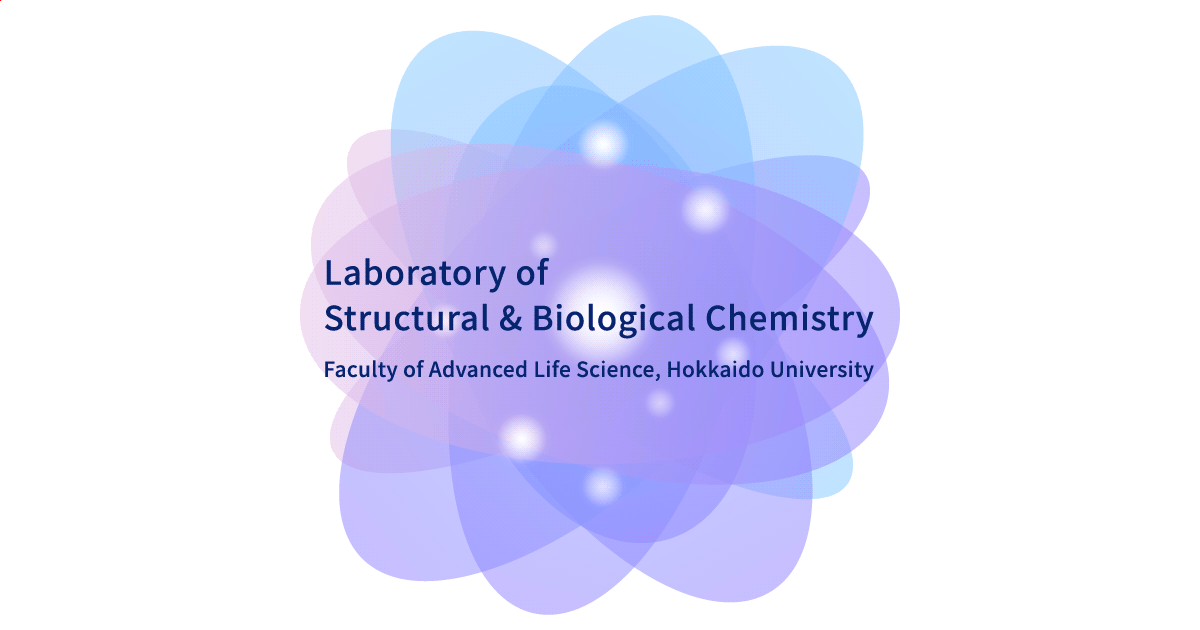 Website has been opened. – Laboratory of Structural & Biological Chemistry